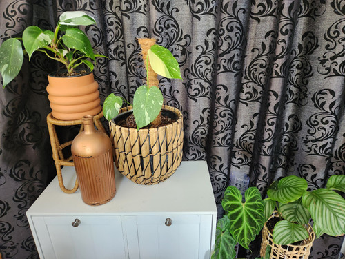 All Products | bio leaf