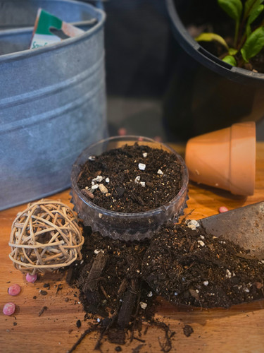 Raised Garden Bed Mix 20L | bio leaf