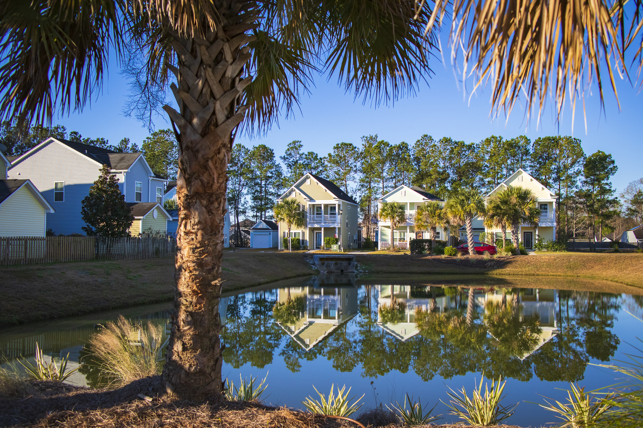 South Cove at Tanner Plantation | IMCcharleston