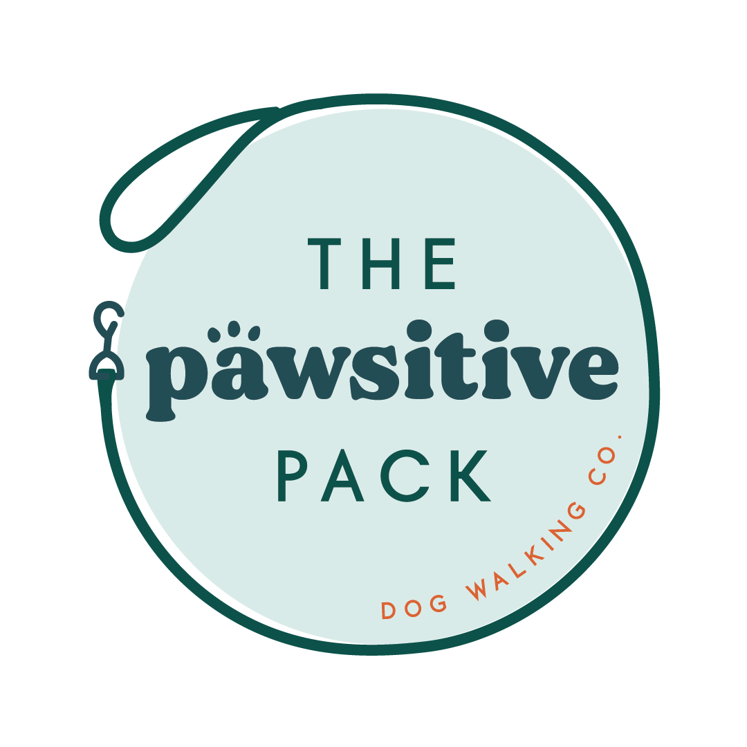 Gallery | The Pawsitive Pack