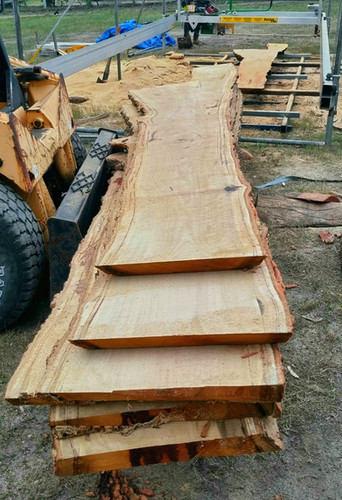 Marri Timber Slab | le-roe