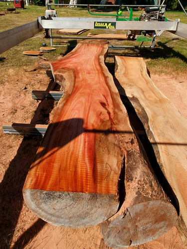 African Mahogany Timber Slab | le-roe