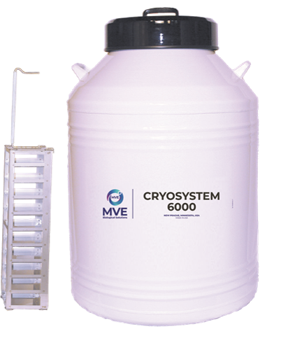 CryoSystem 6000, MVE | NanoSoft