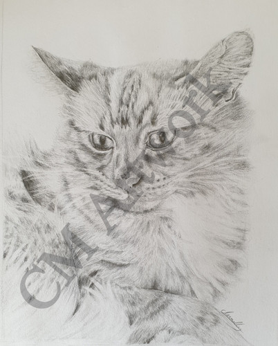 A4 Pencil drawing of your pet | CM Artwork