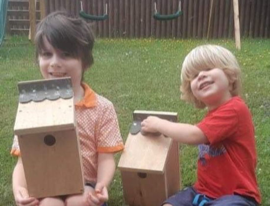 How About A Bird Box?