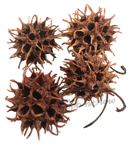 Spiky Gumball (x4) | EPP’nFLOW Aquariums