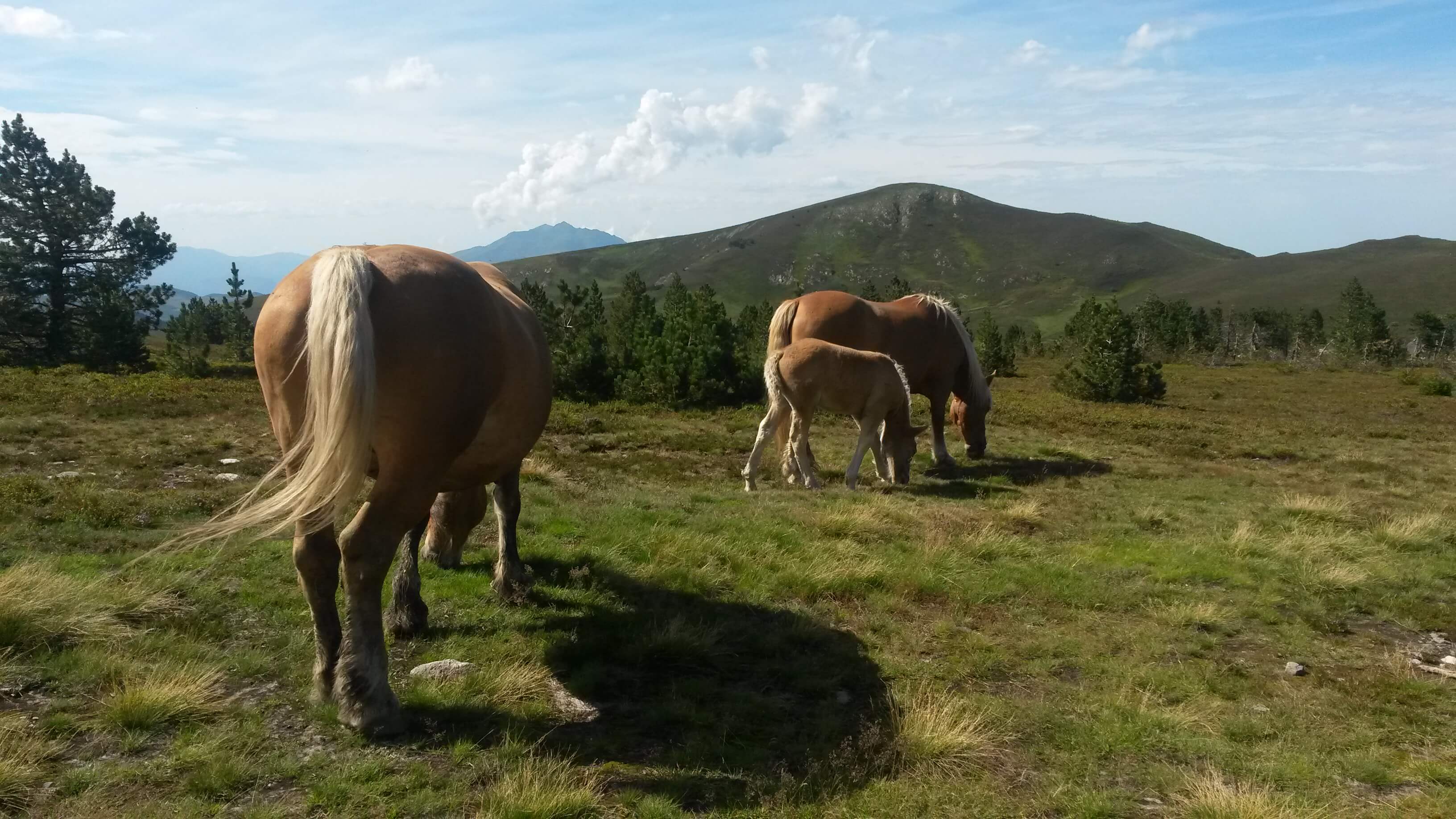 Planet-Rando-Yoga/SéjoursYogaRandoMontagne/ Ariège Pyrénées Orientales
