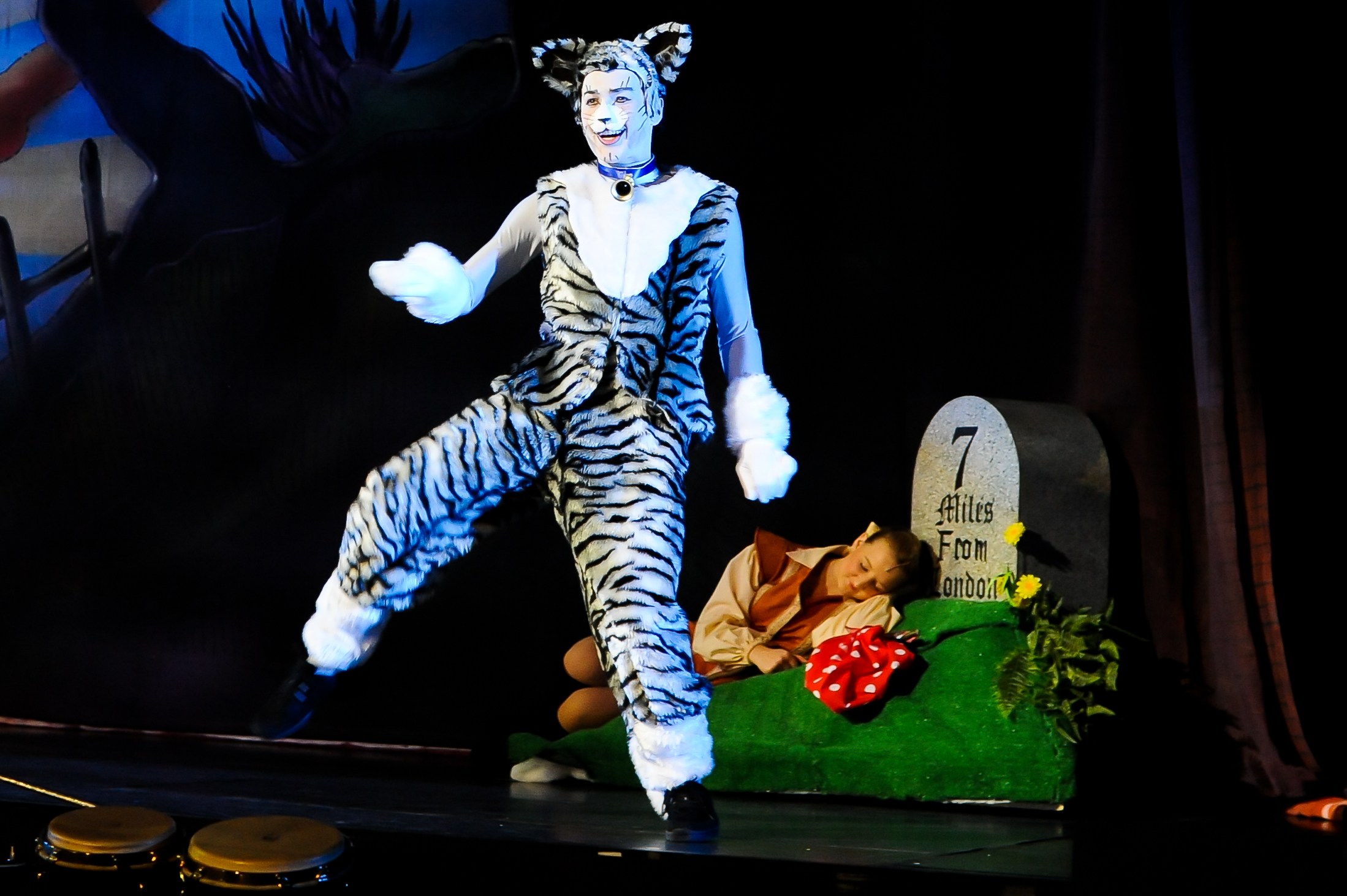 HOPAP, Pantomime Scripts, Theatrical Productions