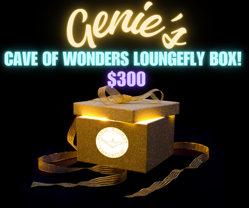Genie's Cave of Wonders Loungefly Mystery Box | GenieWishesEmporium