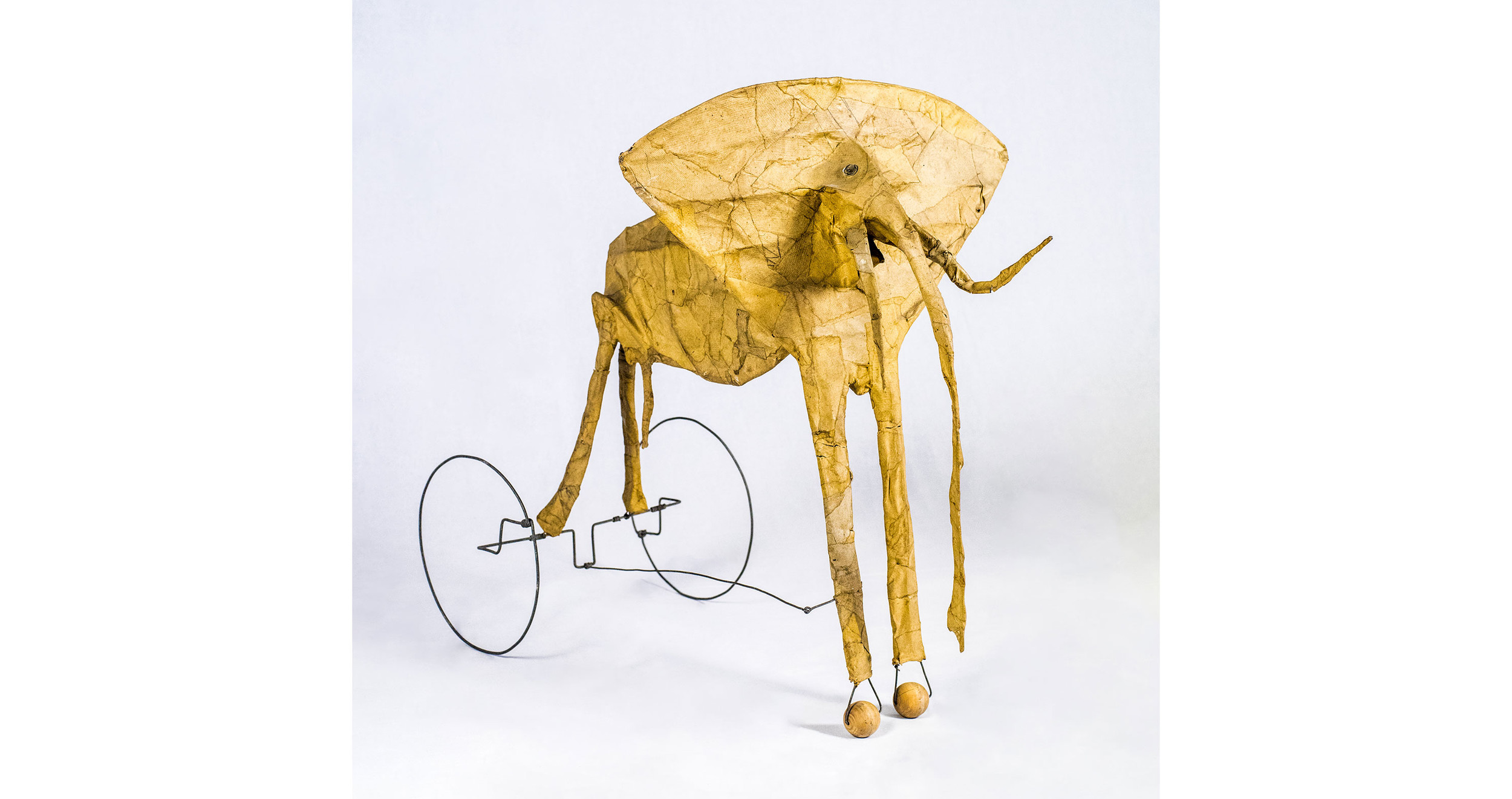 PHARAOH-ELEPHANT | Virgínio Moutinho