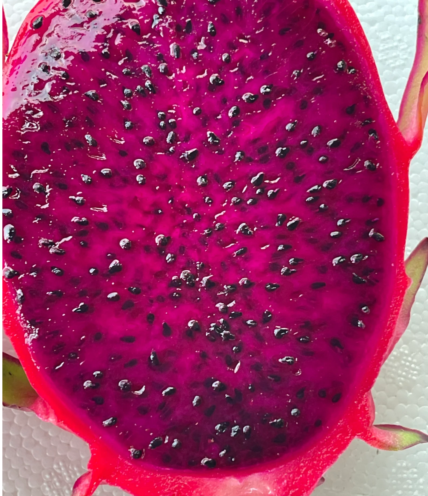 George Emerich Dragon Fruit