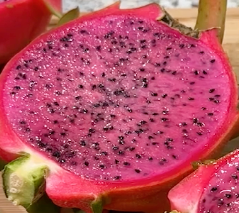 Brenda Dragon Fruit