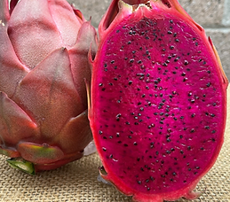 Asunta 5 Paco Dragon Fruit