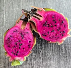 neon-dragon-fruit-starter