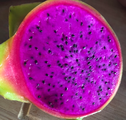 Coco Berry Dragon Fruit