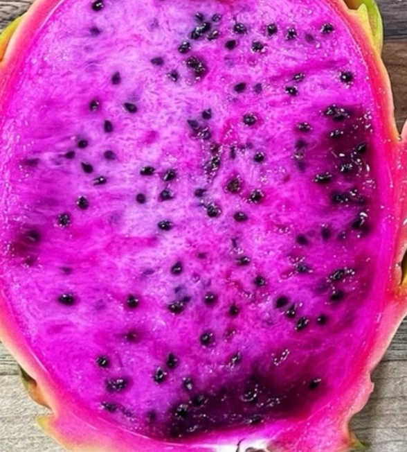Connie Gee Dragon Fruit