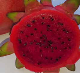 Lisa Dragon Fruit