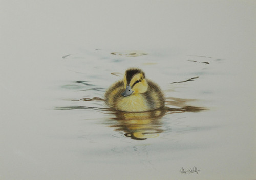 Colin Woolf (b.1956 ) | gainsboroughfineart