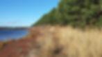 Applicants | PEI Wildlife Conservation Fund