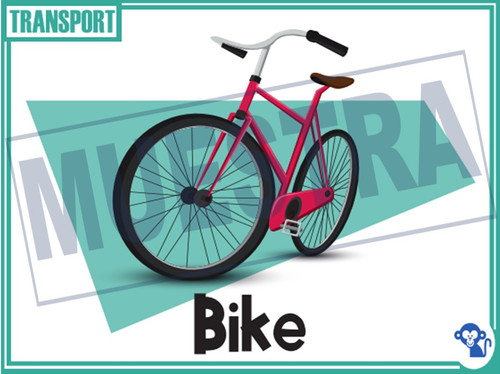 Transport (Flashcards Pack x 14) | Blue Monkey
