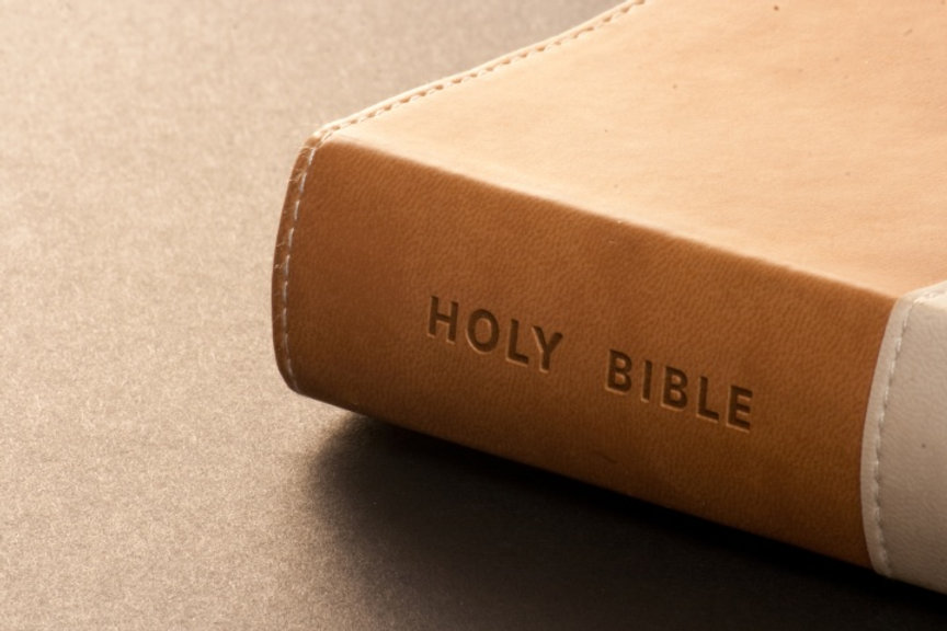 A Perfect Savior (4/21/2024)