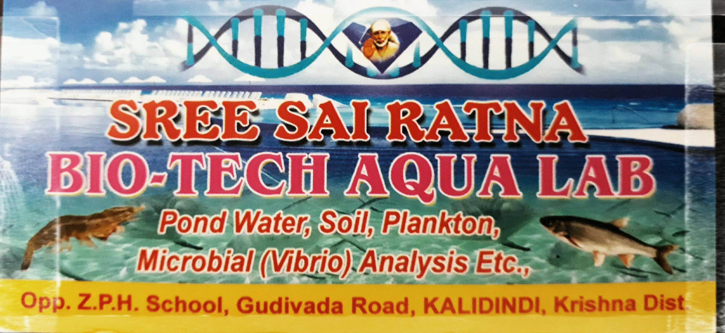 Aqua lab | Kalidindi | Sree Sai Ratna Biotech Aqua Lab