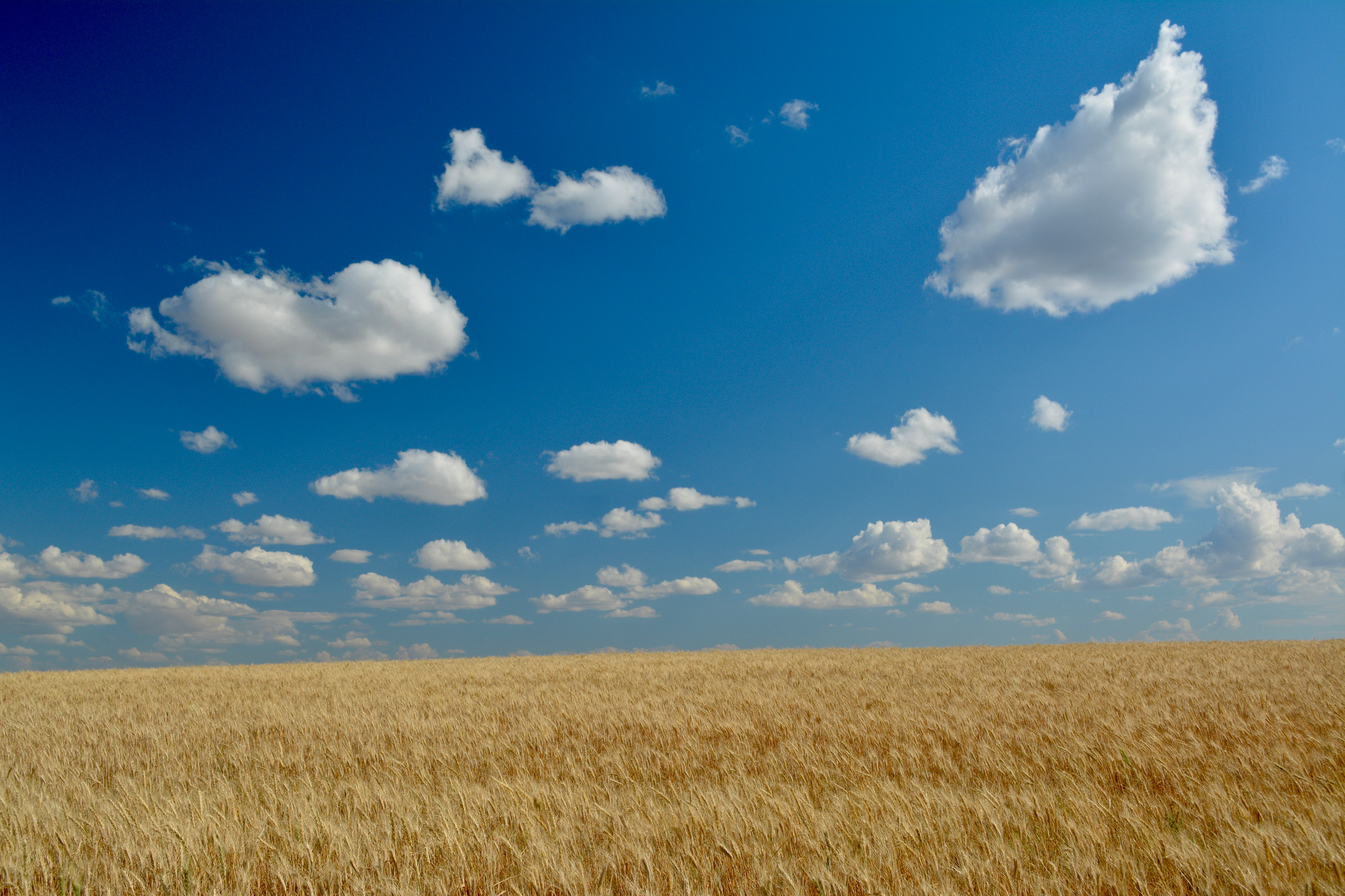 Season Two | Reframing Rural