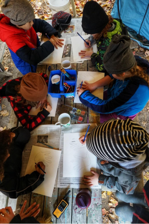 Home | HH Nature Immersion