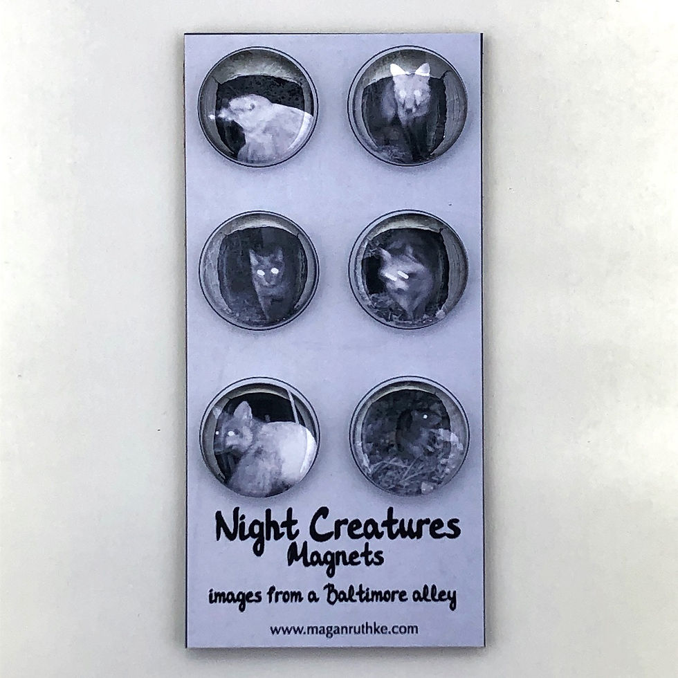 Night Creatures Magnet Set | maganruthke