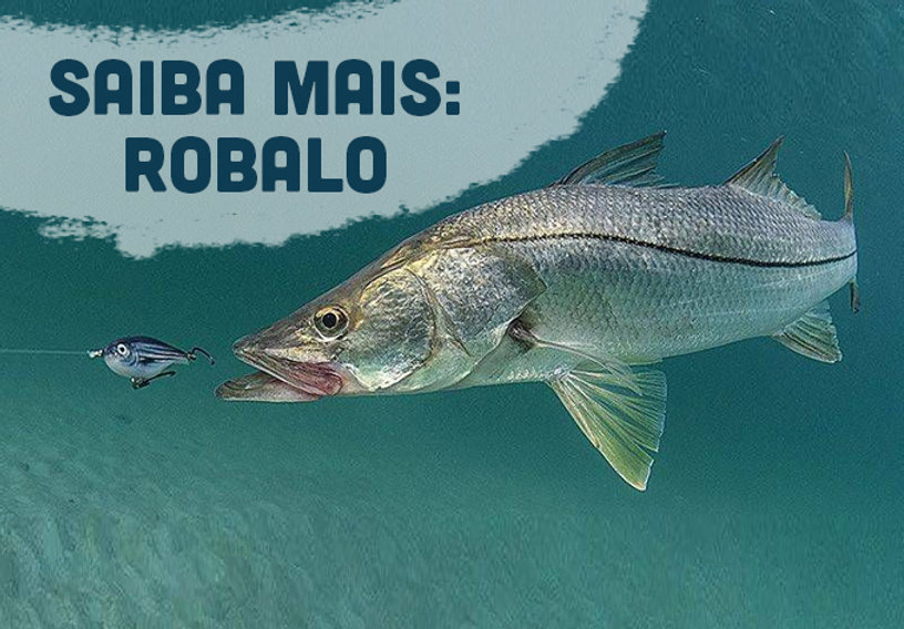 Saiba mais: Robalo