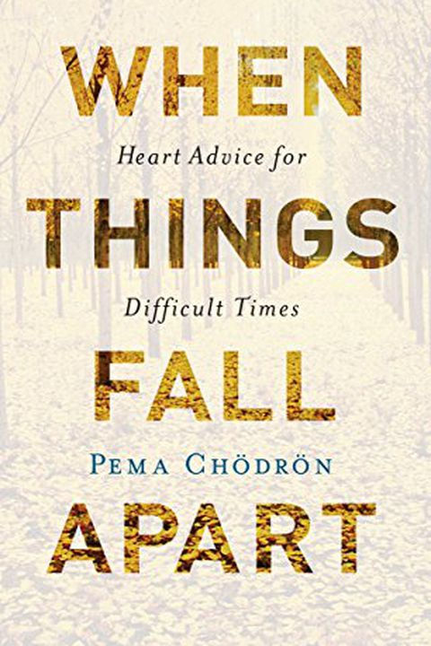 When Things Fall Apart Book Summary | "Talk" to When Things Fall Apart ...