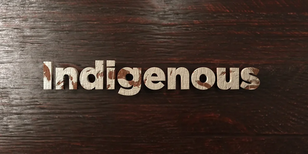 Everything You Need to Know About Indigenous History Month