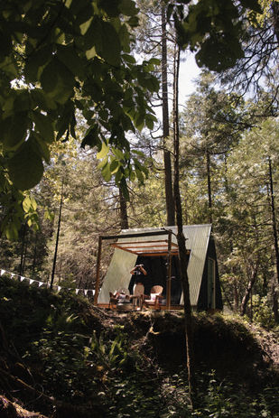 Campsite | Radio Ranch | Burnt Ranch