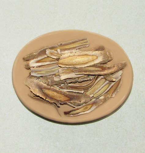 Isatis Root | the-herb-shop