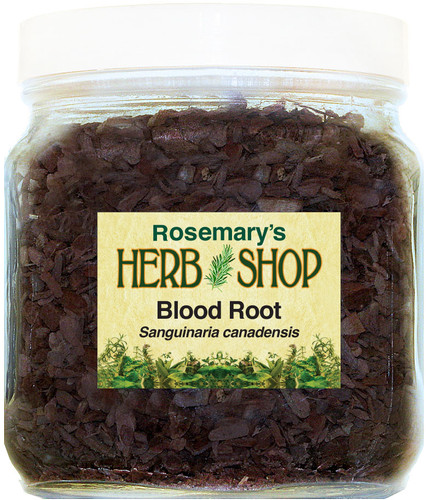 Blood Root | the-herb-shop