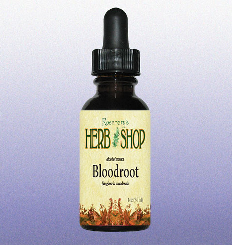 Blood Root | the-herb-shop