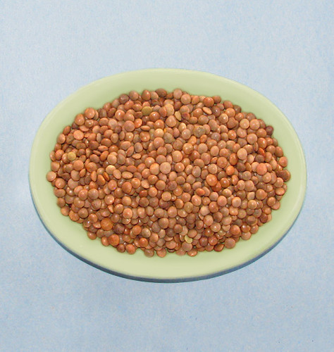 Lentil Sprouting Seeds | the-herb-shop