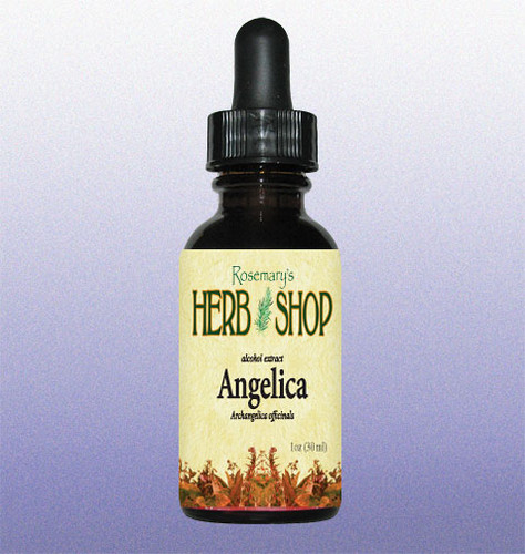Angelica | the-herb-shop