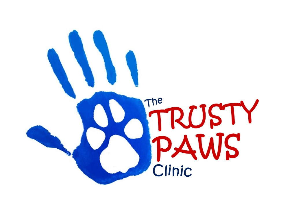 Our Team | The Trusty Paws Clinic | Scotland