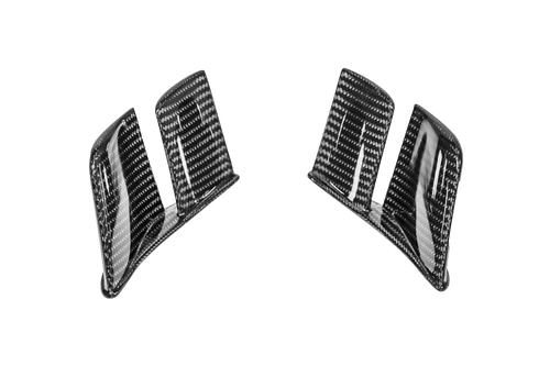 Rear MotoGP Winglets 200g AP Carbon Line Ducati Panigale V2 955 (20-24 ...