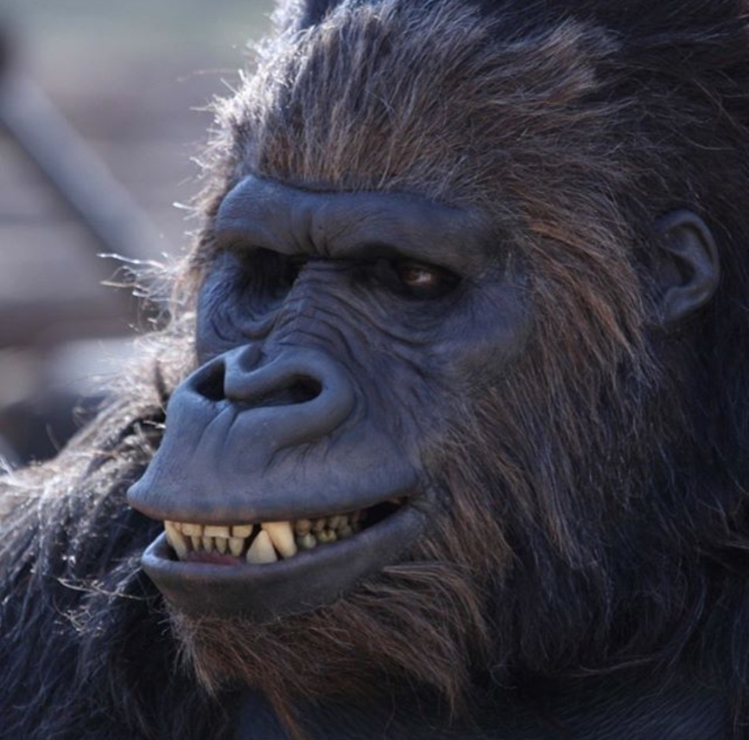 Gorilla Anatomorphex