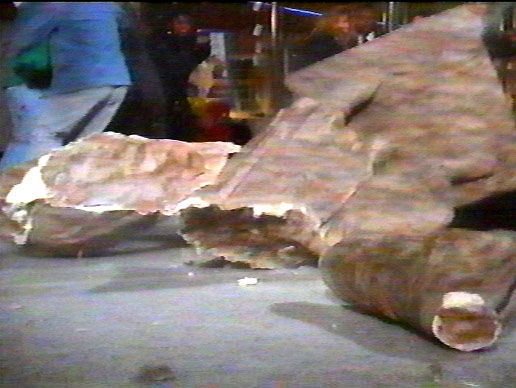 SPECIAL EFFECTS | anatomorphex