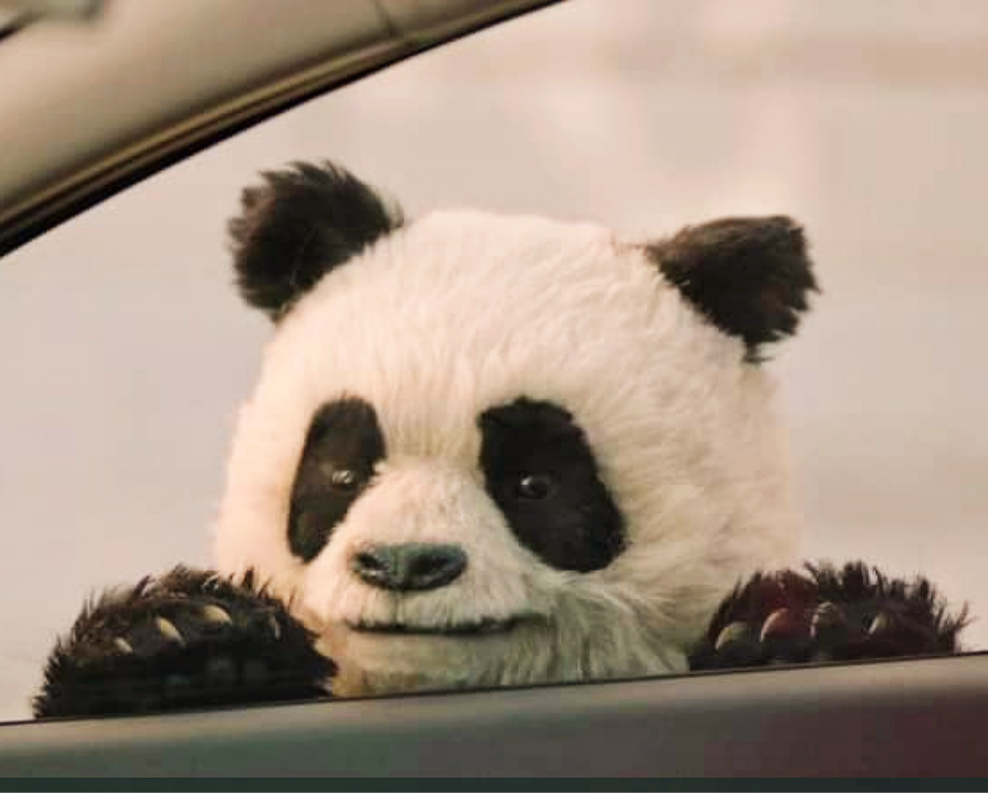 PANDA | anatomorphex