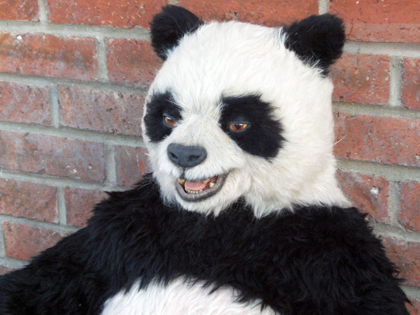 PANDA | anatomorphex