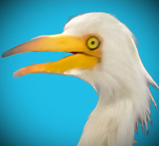 ANIMALS | anatomorphex