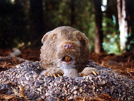 GOPHERS | anatomorphex