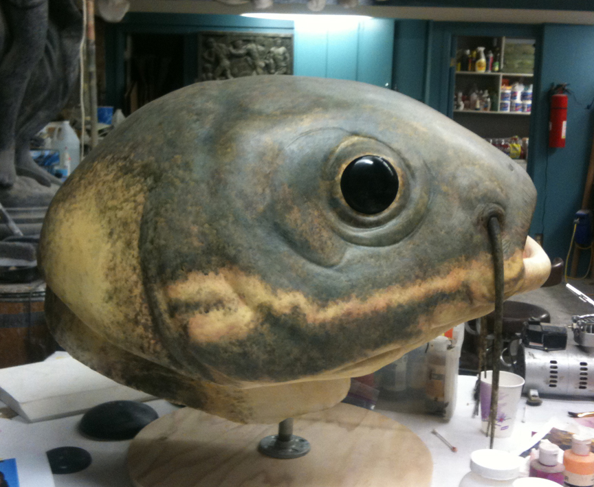 Catfish | anatomorphex
