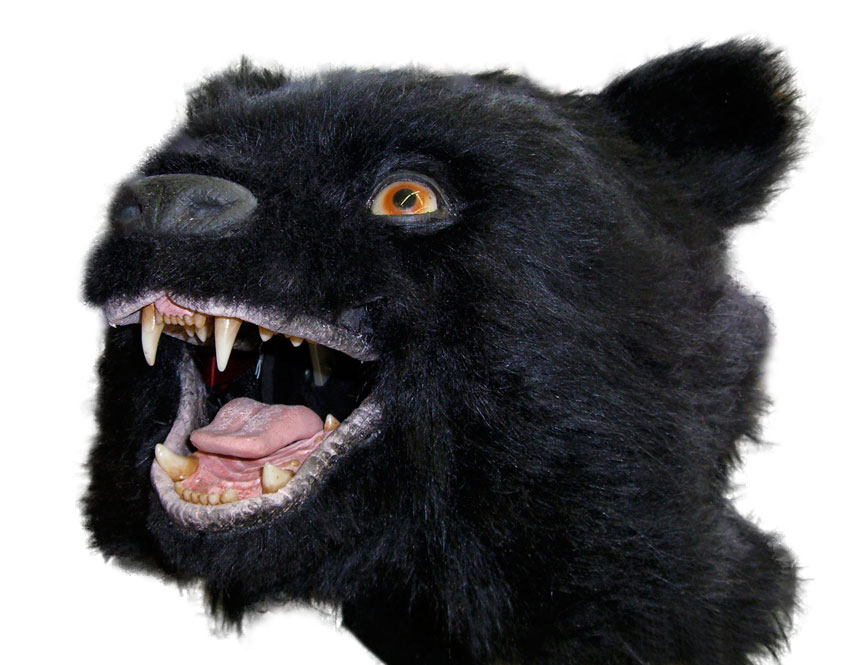 SMALL BLACK BEAR | anatomorphex