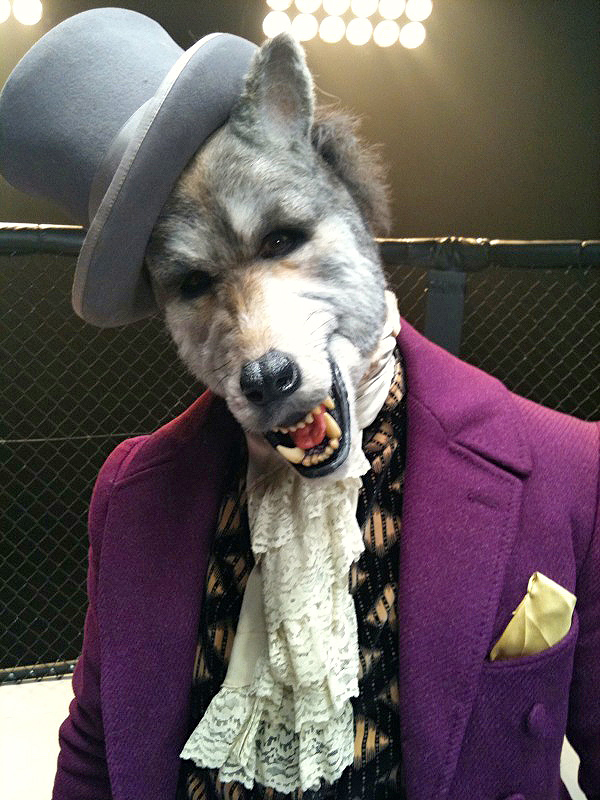 WOLF MASKS | anatomorphex