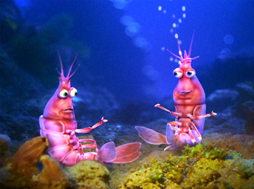 AQUATIC LIFE | anatomorphex